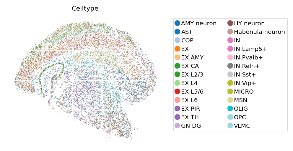 2.Combined visualization of domains and segmented cells - Spateo ...