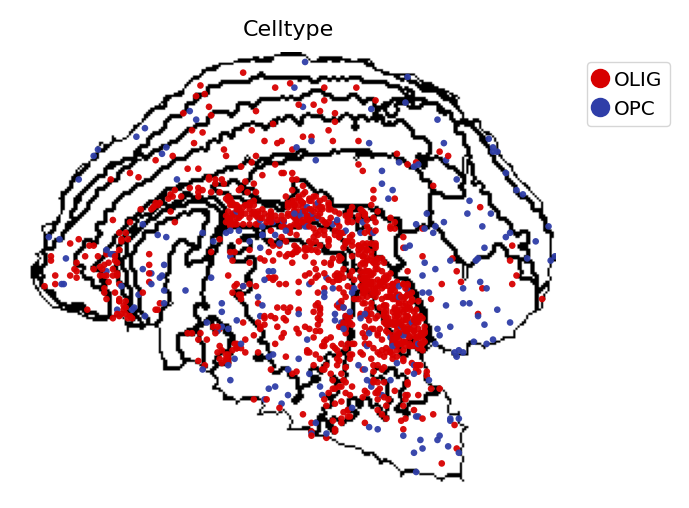 2.Combined visualization of domains and segmented cells - Spateo ...