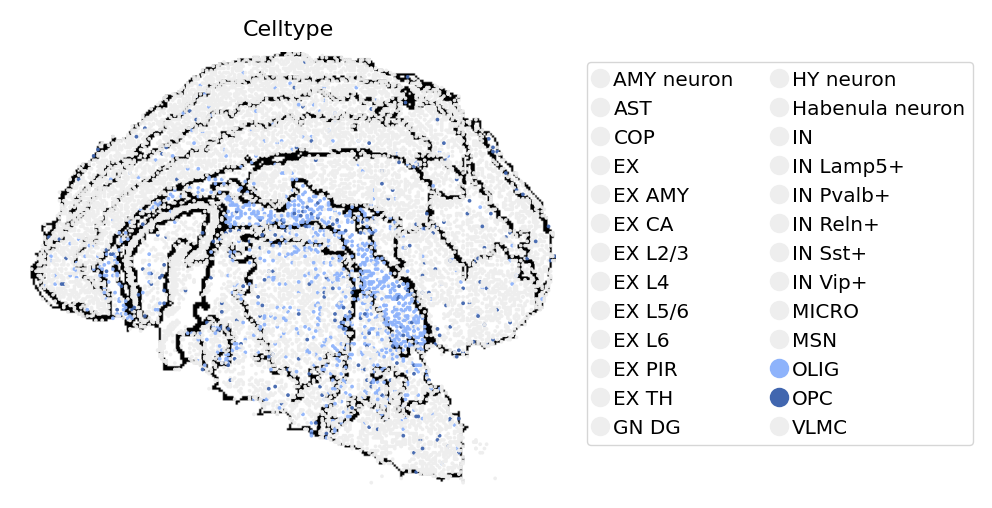 2.Combined visualization of domains and segmented cells - Spateo ...